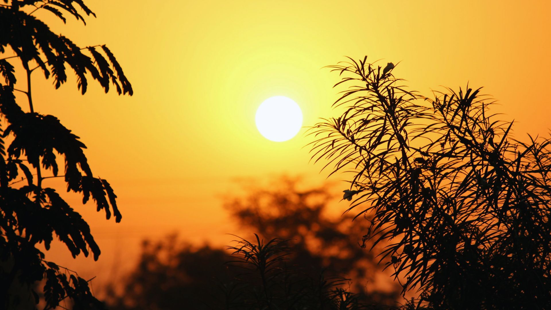 10 Best Sunrise Points In The World That You Must Visit - mintyread.com